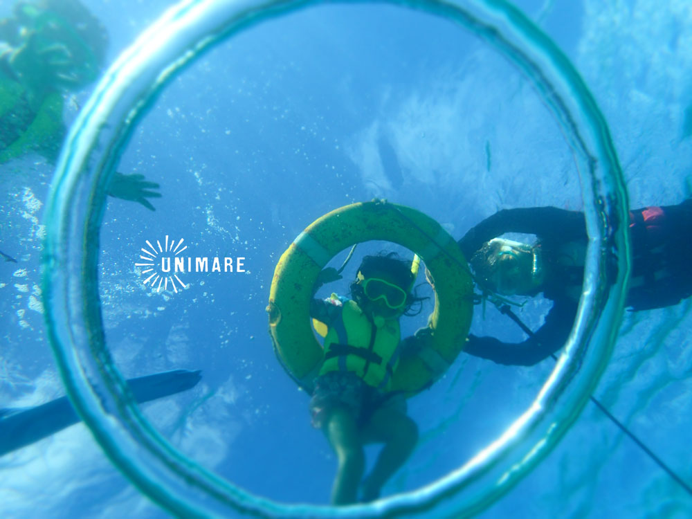 奄美大島でダイビングやシュノーケルしながら思う事 - 奄美大島ウェルネス×アドベンチャーUNIMARE