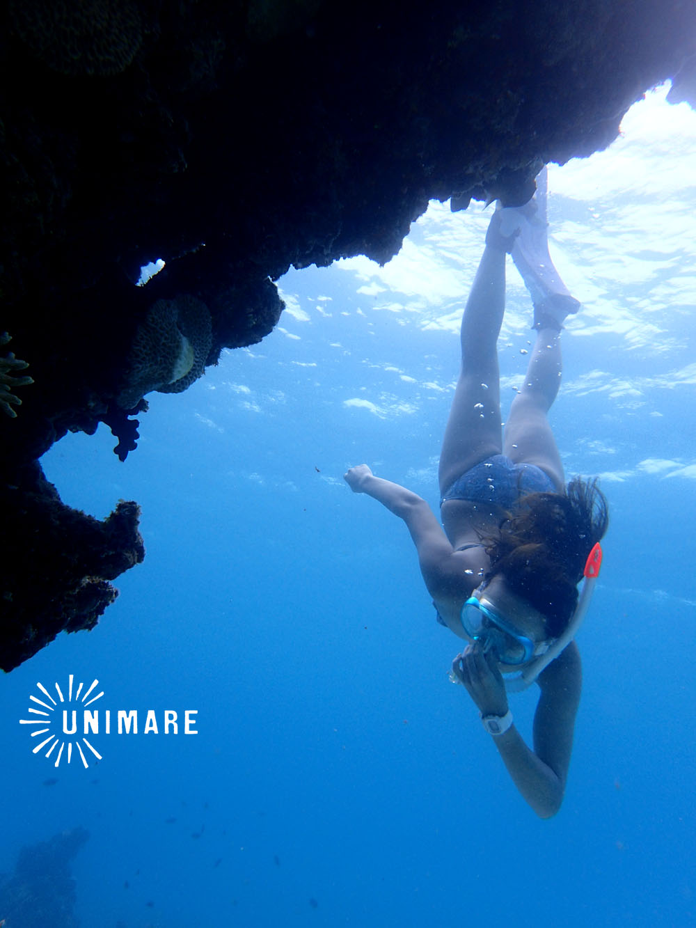 奄美大島での海遊び～ユニマーレ的奄美の海の景色と魅力～ - 奄美大島ウェルネス×アドベンチャーUNIMARE