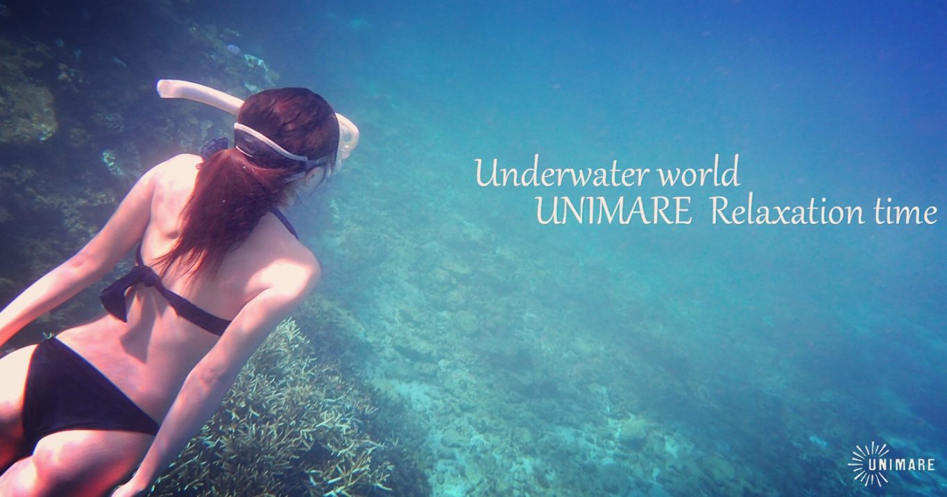 奄美でウミガメシュノーケリング、スキンダイビングしてる動画 - 奄美大島ウェルネス×アドベンチャーUNIMARE