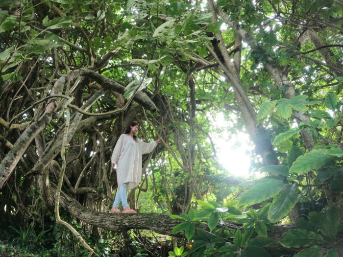 【公式】奄美大島観光、半日プラン一覧|奄美大島ウィルネス&アドベンチャーUNIMARE