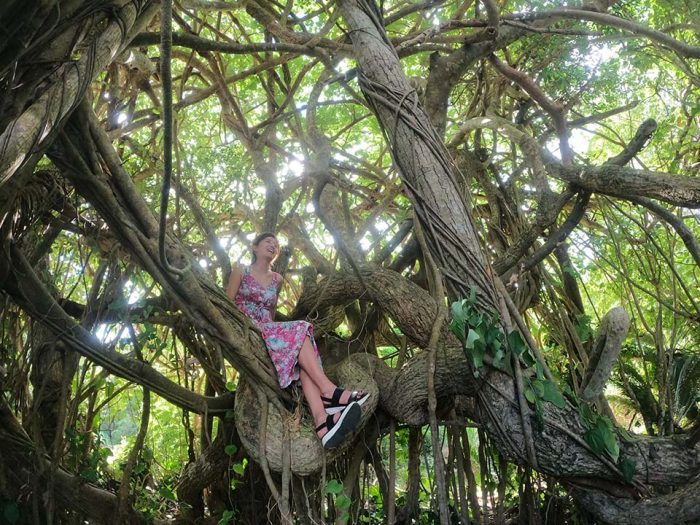 海と森の1日プラン